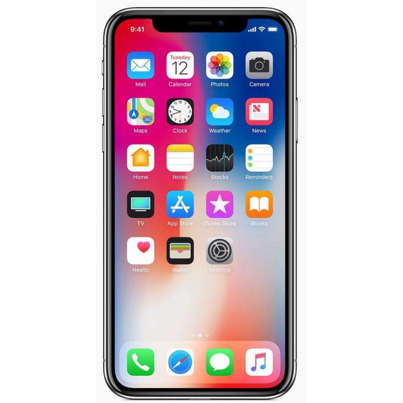 iPhone X Rear Glass replacement